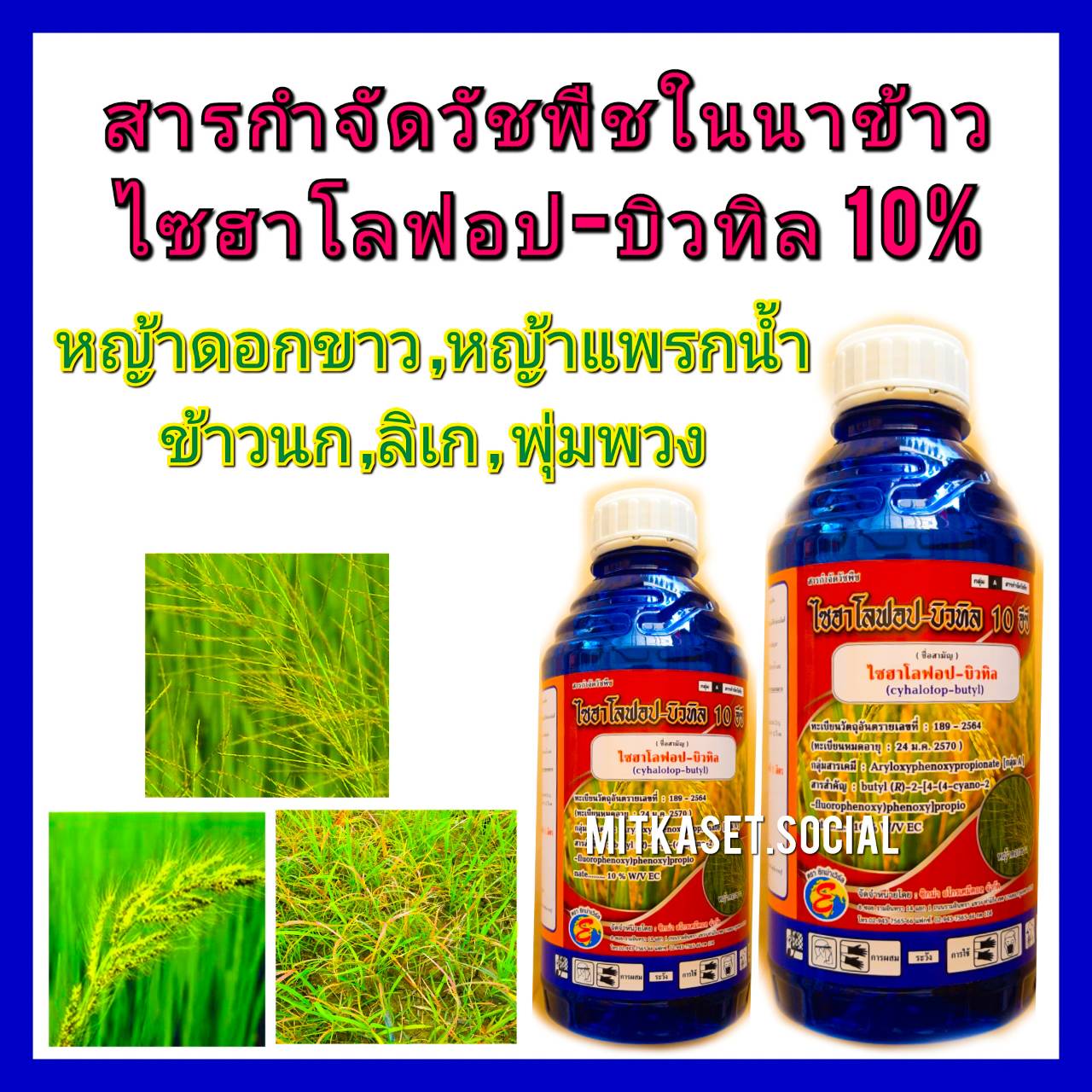 ไซฮาโลฟอป-บิวทิล 10% w/v ec ไซฮาโลฟอป ขนาด1 ลิตร ฆ่าหญ้า ใช้กำจัดวัชพืชในนาข้าว เช่น หญ้าแพรกน้ำ ...