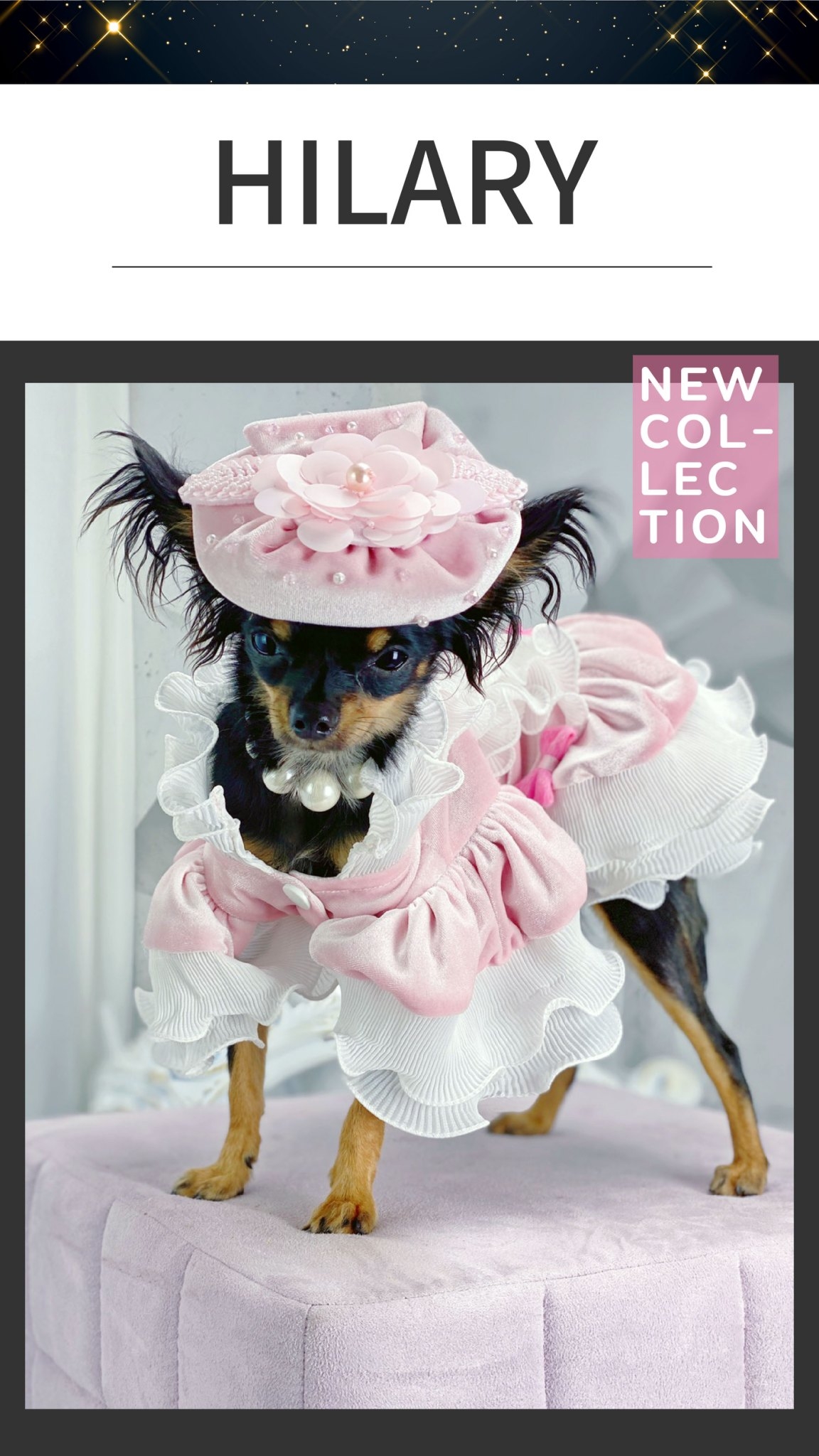 PRE-ORDER (7 Days) ???? Hilary ???? แมวสัตว์เลี้ยงเสื้อผ้าสายรัดหน้าอกฉุดดอกไม้เล็กลูกไม้เท็ดดี้ ...