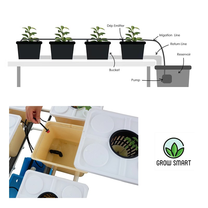 ส่งฟรี…!!GROW SMART HYDROPONICS DUTCH BUCKET SYSTEM BATO BUCKET ...
