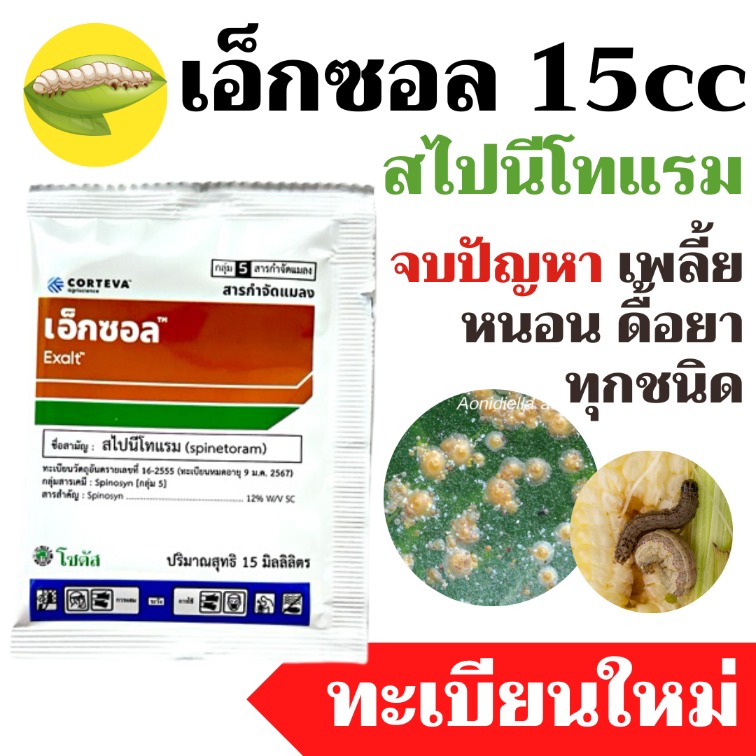 [1ซอง] เอ็กซอล Exalt สไปนีโทแรม 15 ml จุดจบของหนอนร้าย และเพลี้ยไฟดื้อ ...