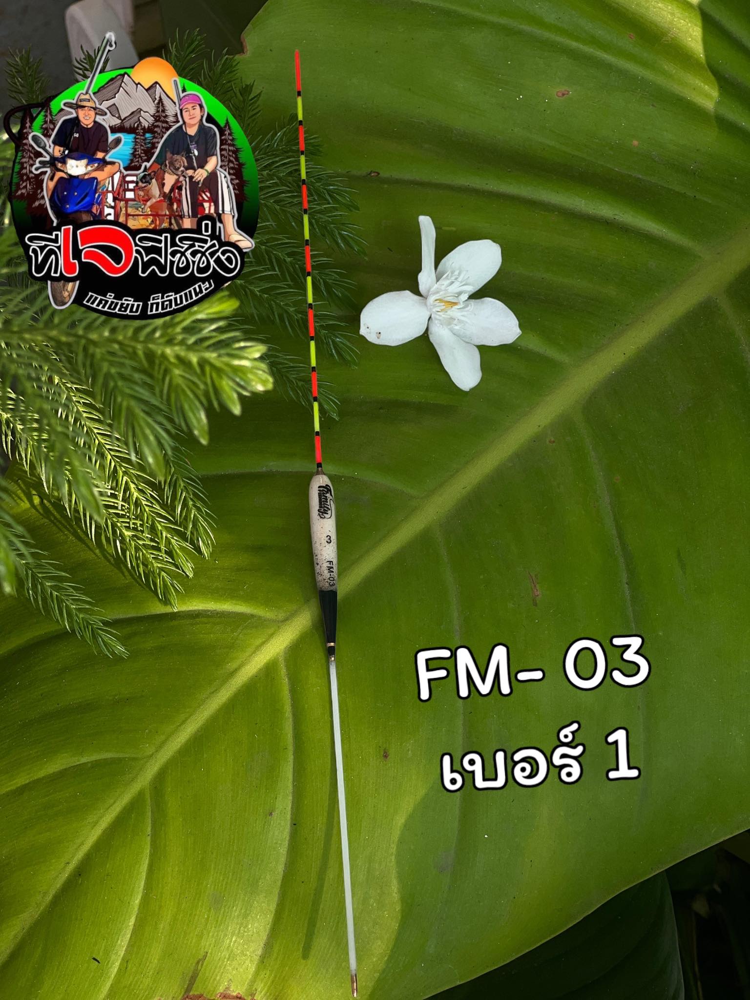 ตกลอย ทุ่นไม้ ทุ่นชิงหลิว ทุ่นตกปลาชิงหลิว หรัส FM-03 มี 3 ขนาด 1 ดอก อาการชัดเจน สายรั้ง บาล้าน ...