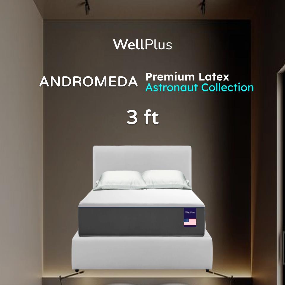 Wellplus ที่นอนยางพาราแท้ สัมผัสแน่น รุ่น ANDROMEDA ความหนา 8 นิ้ว ยางพาราเกรดพรีเมียม รองรับ ...