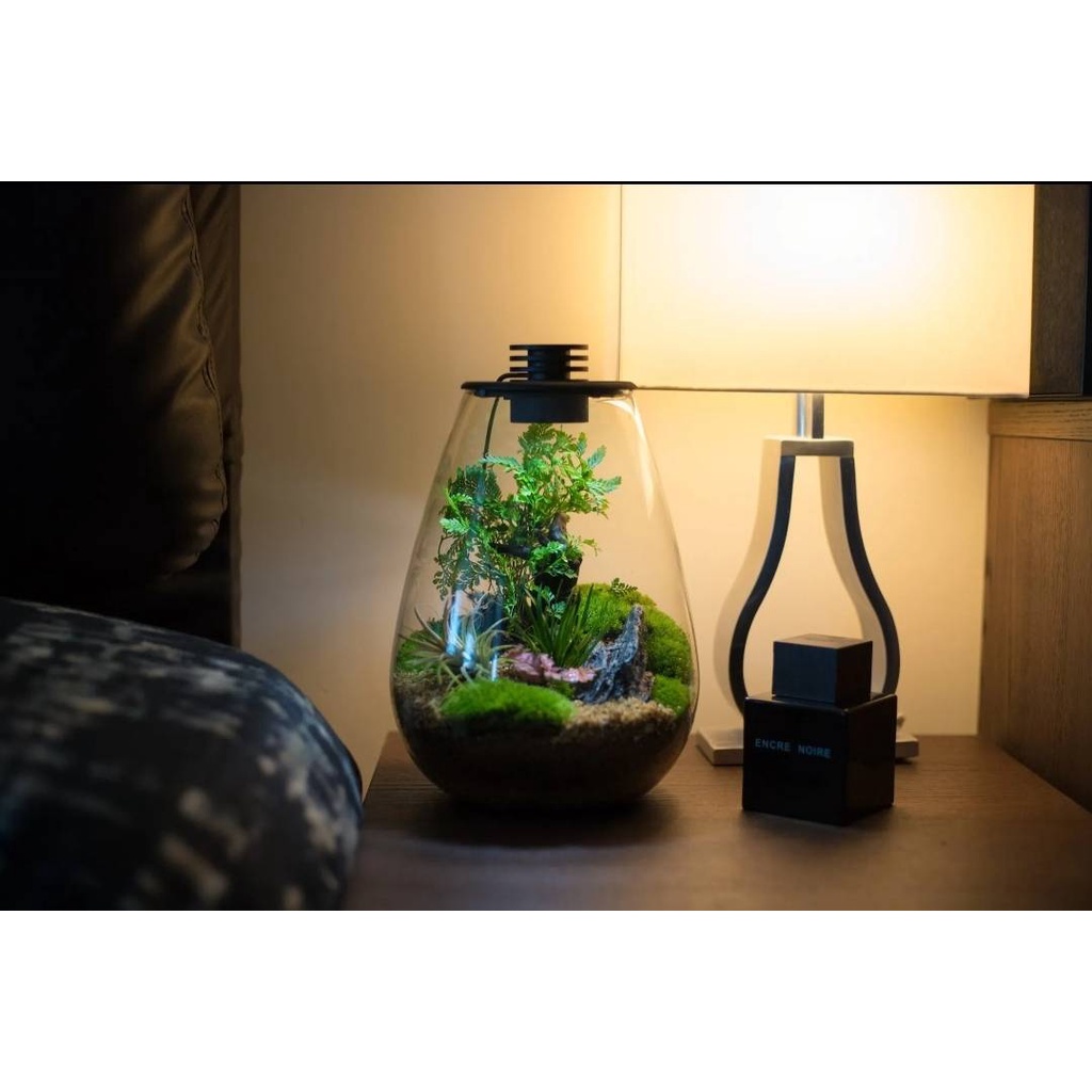 Bioloark terrarium (Bio Bottle LED SD) รูปทรงหยดน้ำ เทอร์ราเรียม สวนขวด ...
