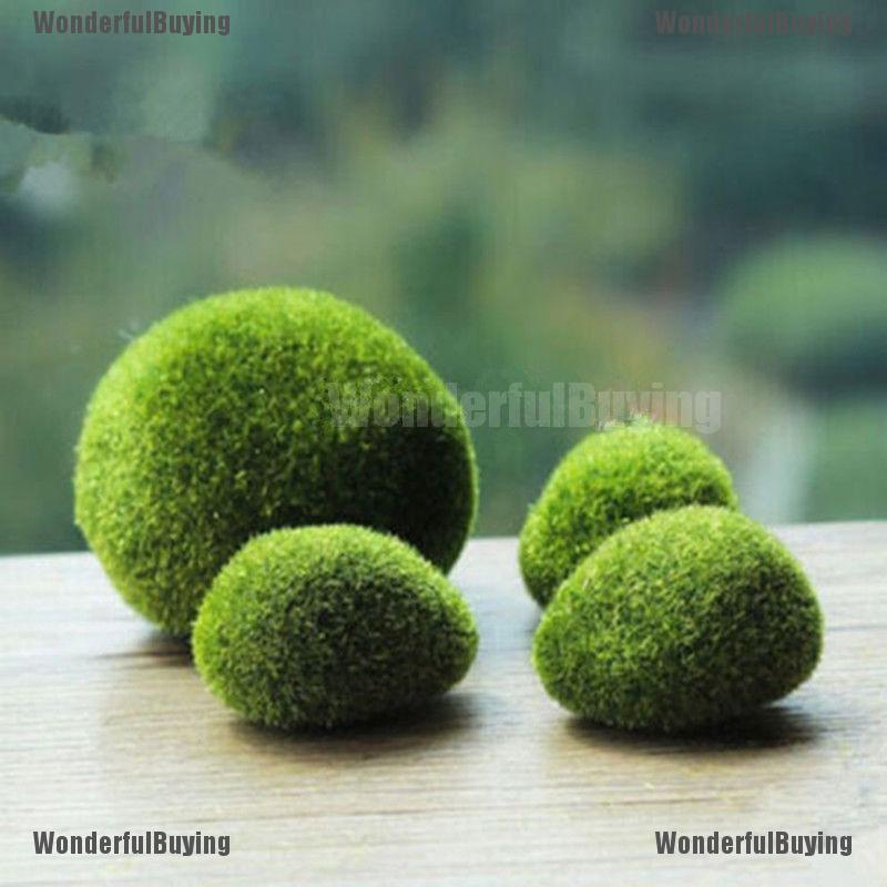 Marimo Moss Balls Artificial Grass Stones Turf Mini Fairy Garden Micro ...