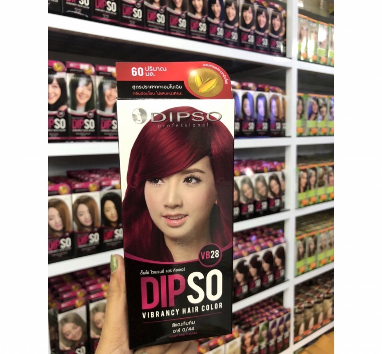 Dipso ดิ๊พโซ่ ครีมเปลี่ยนสีผม ให้โทนสีผมแลดูเป็นธรรมชาติ สีติดทนนาน ...
