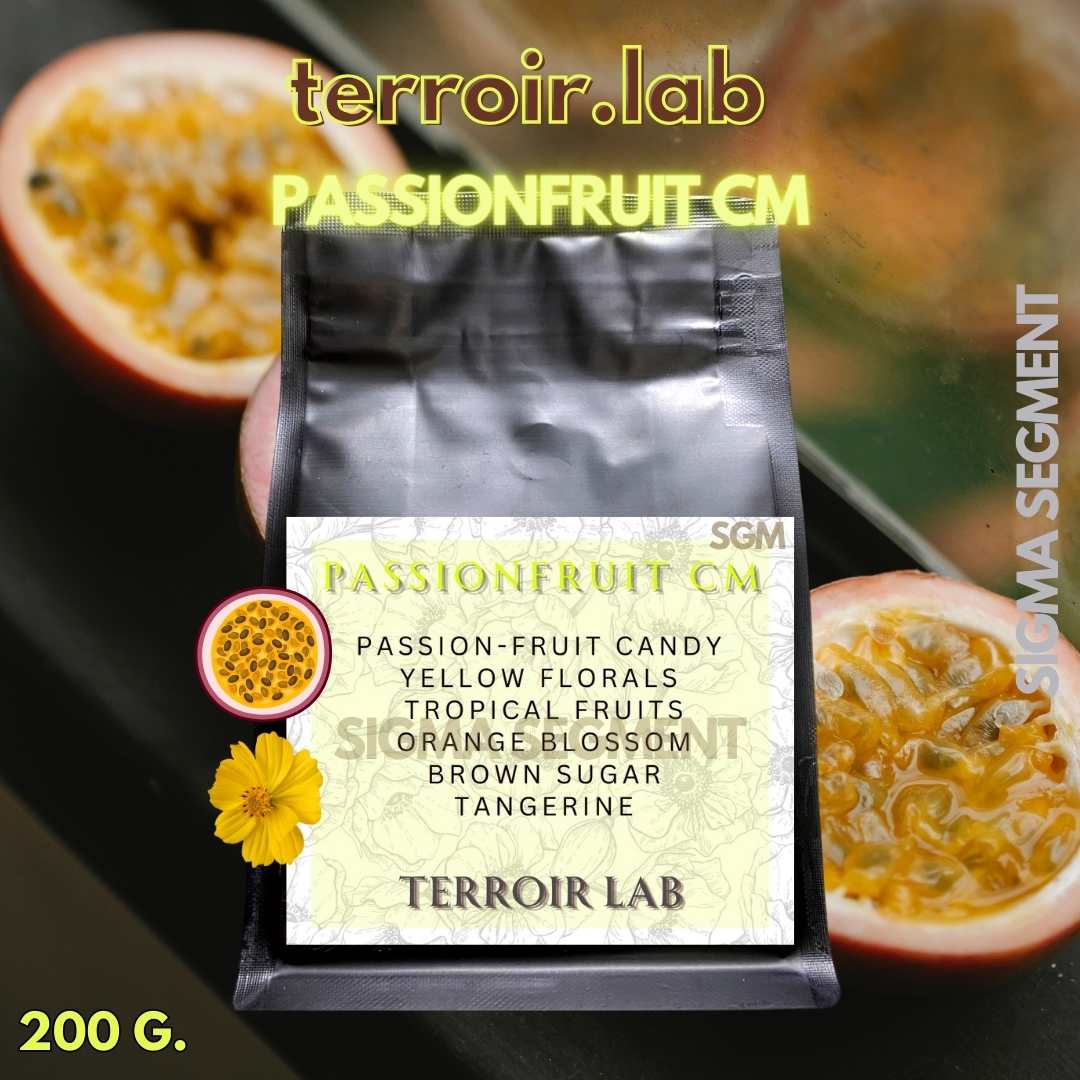 เมล็ดกาแฟ CM (200g.) — TERROIR LABORATORY | SIGMASEGMENT | Lazada.co.th