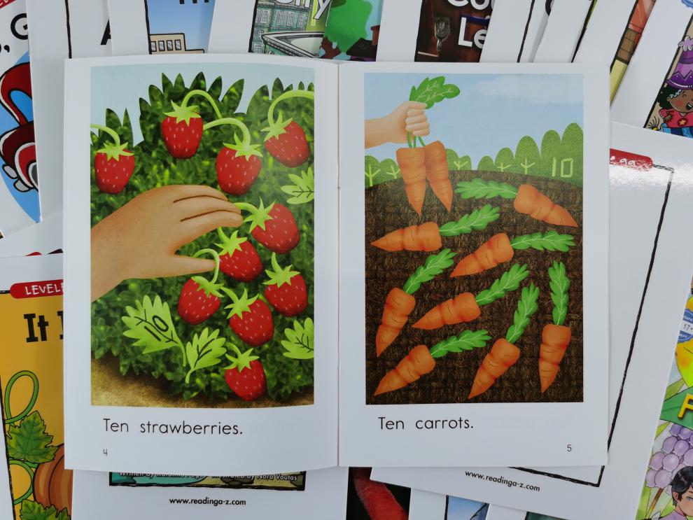 [100 Books+1 Guide+1 Workbook】RAZ Graded Reading Picture Book Level aa ...