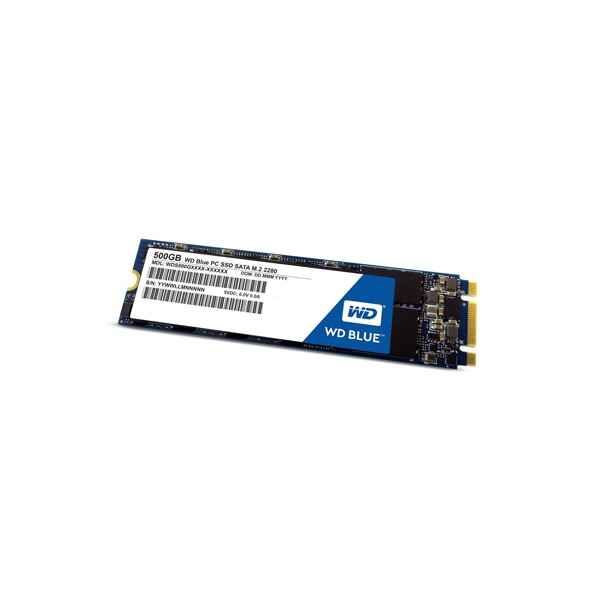 WD SSD500GB M.2 BLUE WDS500G2B0B-00YS70 500GB | Lazada.co.th