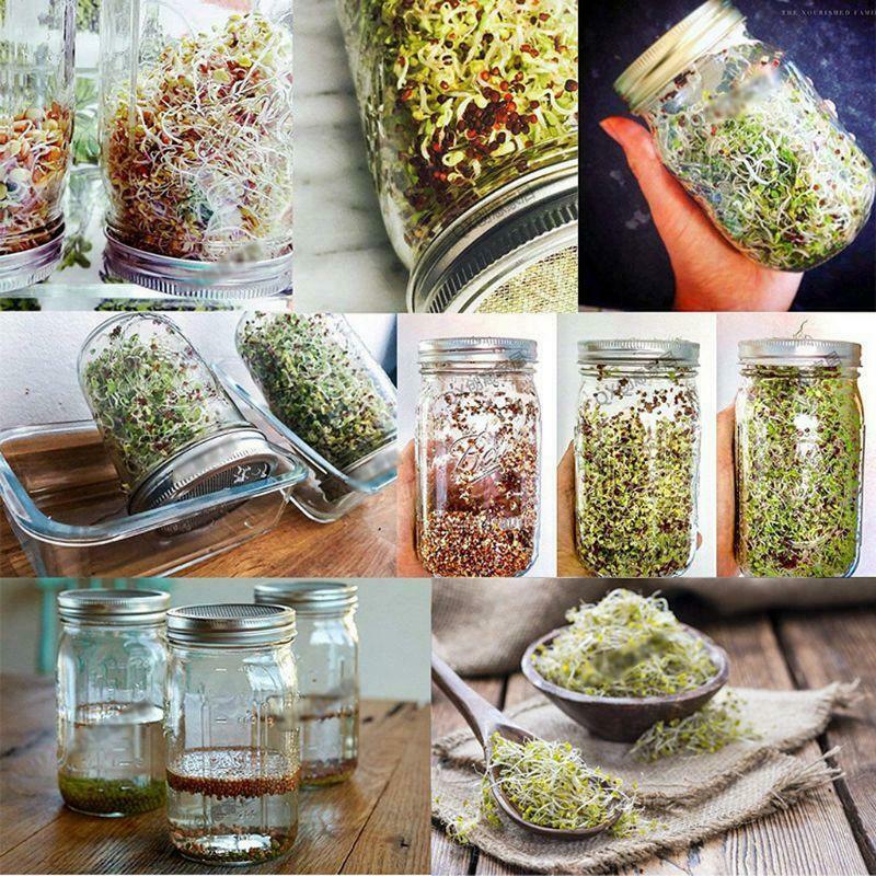 【Ready Stock&COD】3X Sprouting Jar with Stainless Steel Screen Lid Wide ...