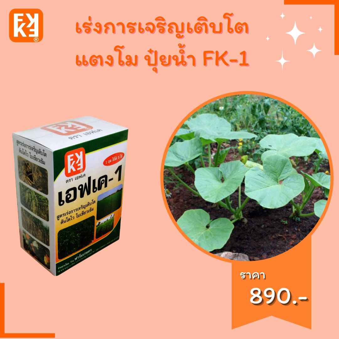 ปุ๋ยน้ำ เร่งการเจริญเติบโต เพิ่มผลผลิต ฟักทอง ประสิทธิภาพสูง FK-1 เร่ง ...