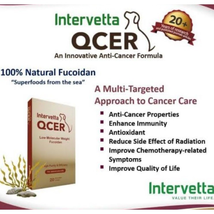 ยาและอาหารสัตว์คุณภาพ QCER ต้านมะเร็งสุนัข-แมว เสริมภูมิคุ้มกันให้ ...