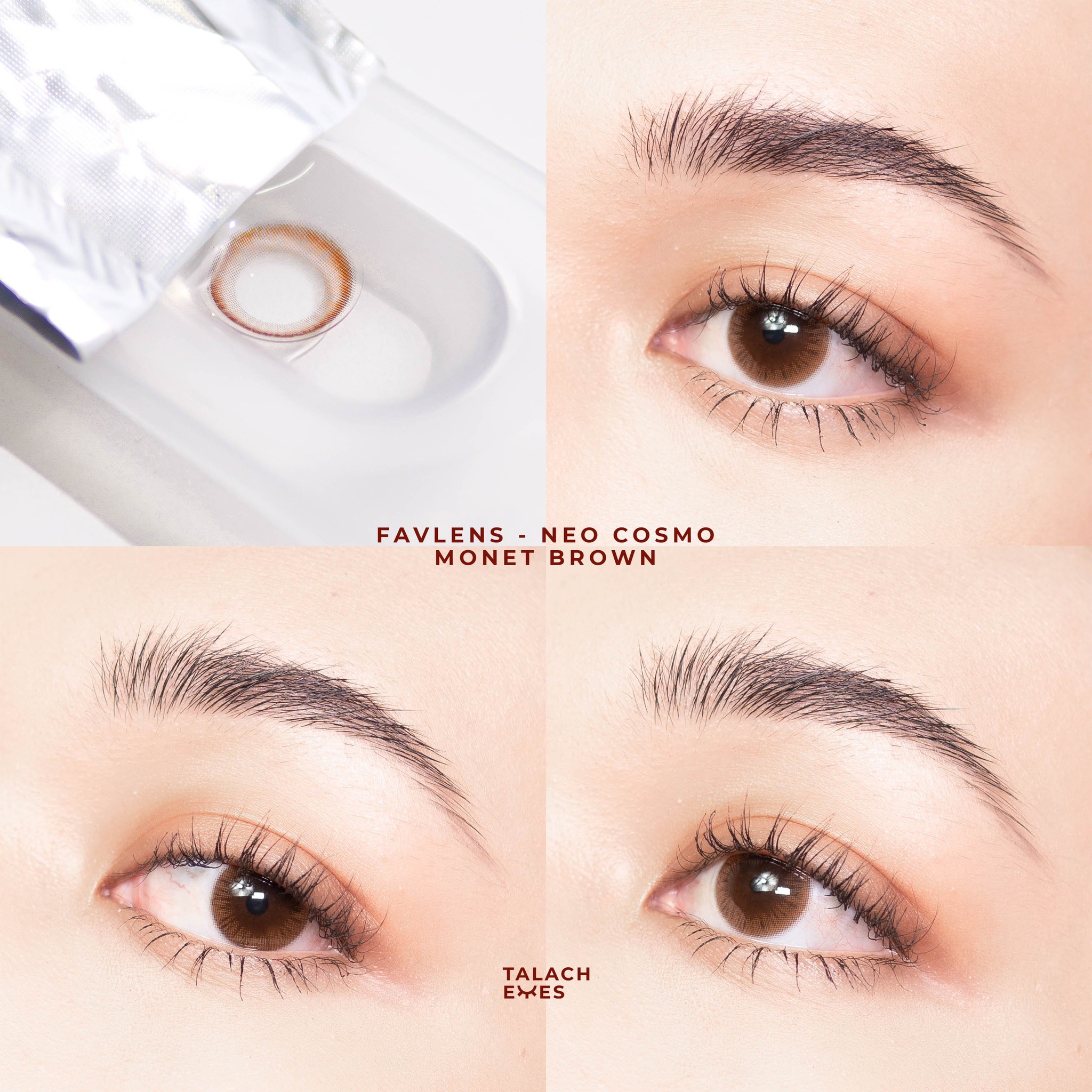 คอนแทคเลนส์ Monet Brown (Neo Cosmo) รายเดือน สีน้ำตาลขนาดเท่าตาดำปกติ ...