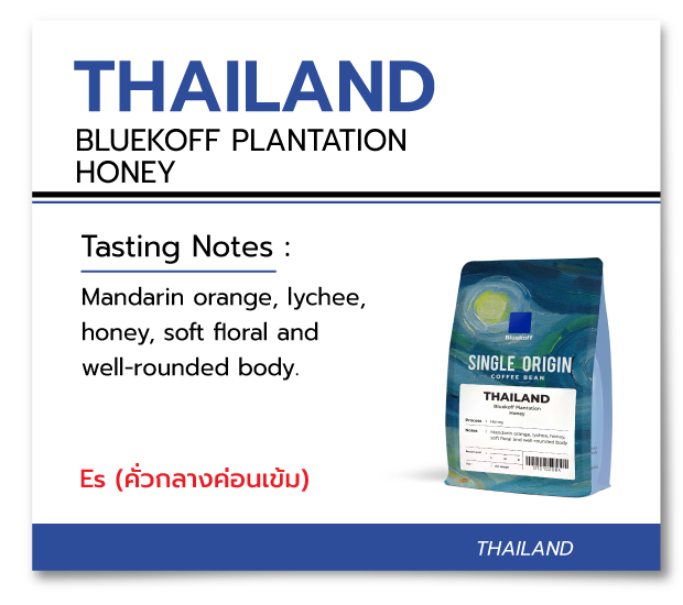 [Pre-order 5 days] Bluekoff Plantation: Honey Process เมล็ดกาแฟ ไทย อ ...