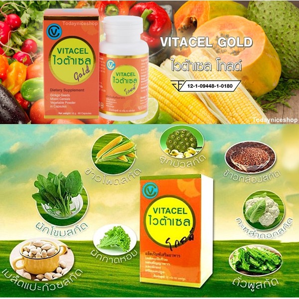Vitacel Gold ไวต้าเซล โกลด์ (1กระปุก 60 แคปซูล ) - SBC Healthy - ThaiPick