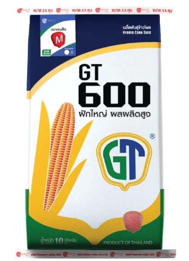 ใหม่ เมล็ดข้าวโพด GT600/ จีที 600 (3.5 หุน) ขนาด 10 กก. ฝักใหญ่ ยาว เปลือกหุ้มมิด ผลผลิตสูง สี ...