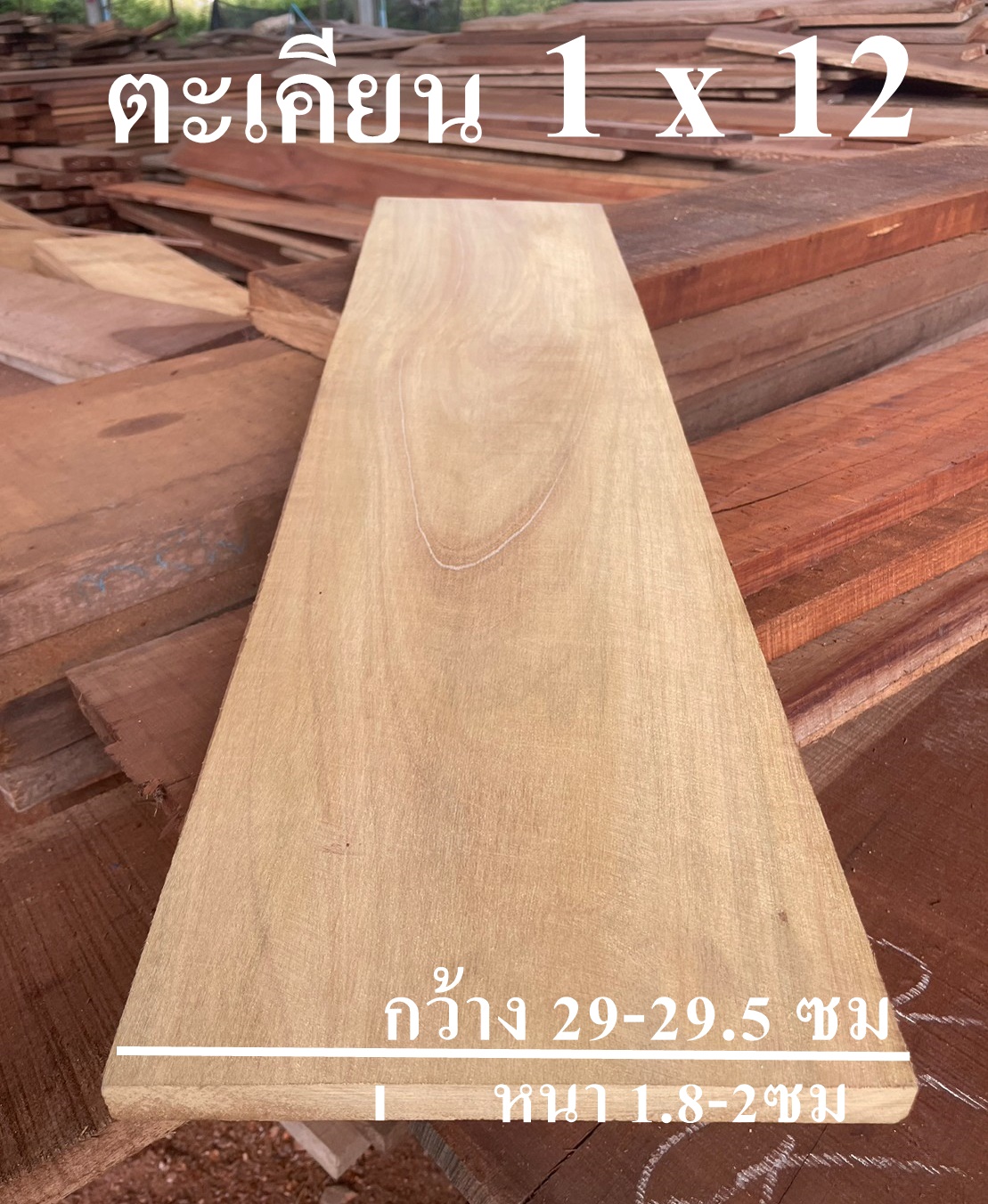 ไม้ตะเคียน(Wood) ขนาด 1" x 12"ชื่อMerawan Wood สีเหลืองขาวนวลแกมชมพู ...