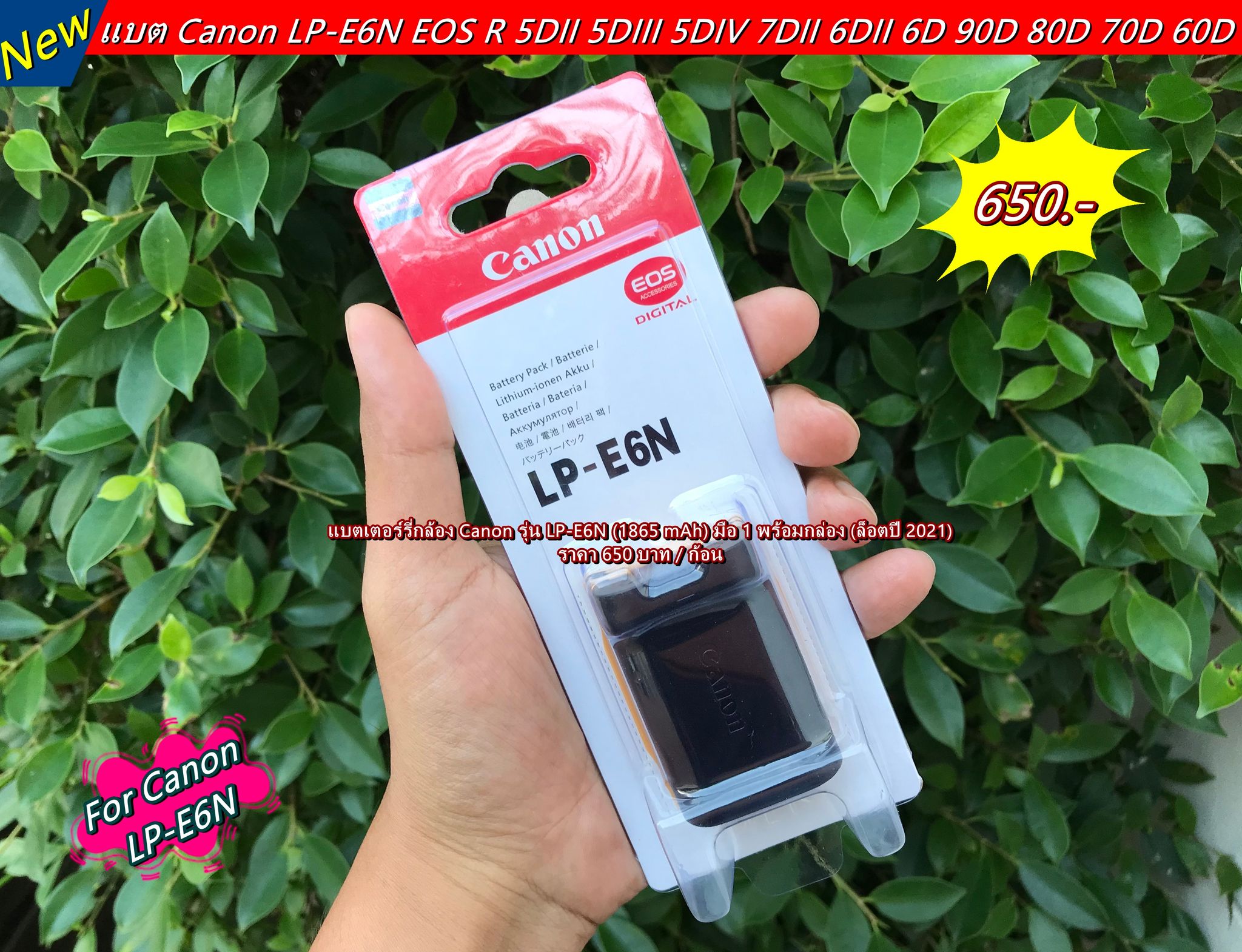 Battery Canon 7D 60D 70D 80D 6D 90D 6D Mark II 5D 5D Mark II - Camara ...