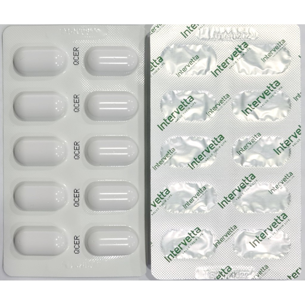 ยาและอาหารสัตว์คุณภาพ QCER ต้านมะเร็งสุนัข-แมว เสริมภูมิคุ้มกันให้ ...