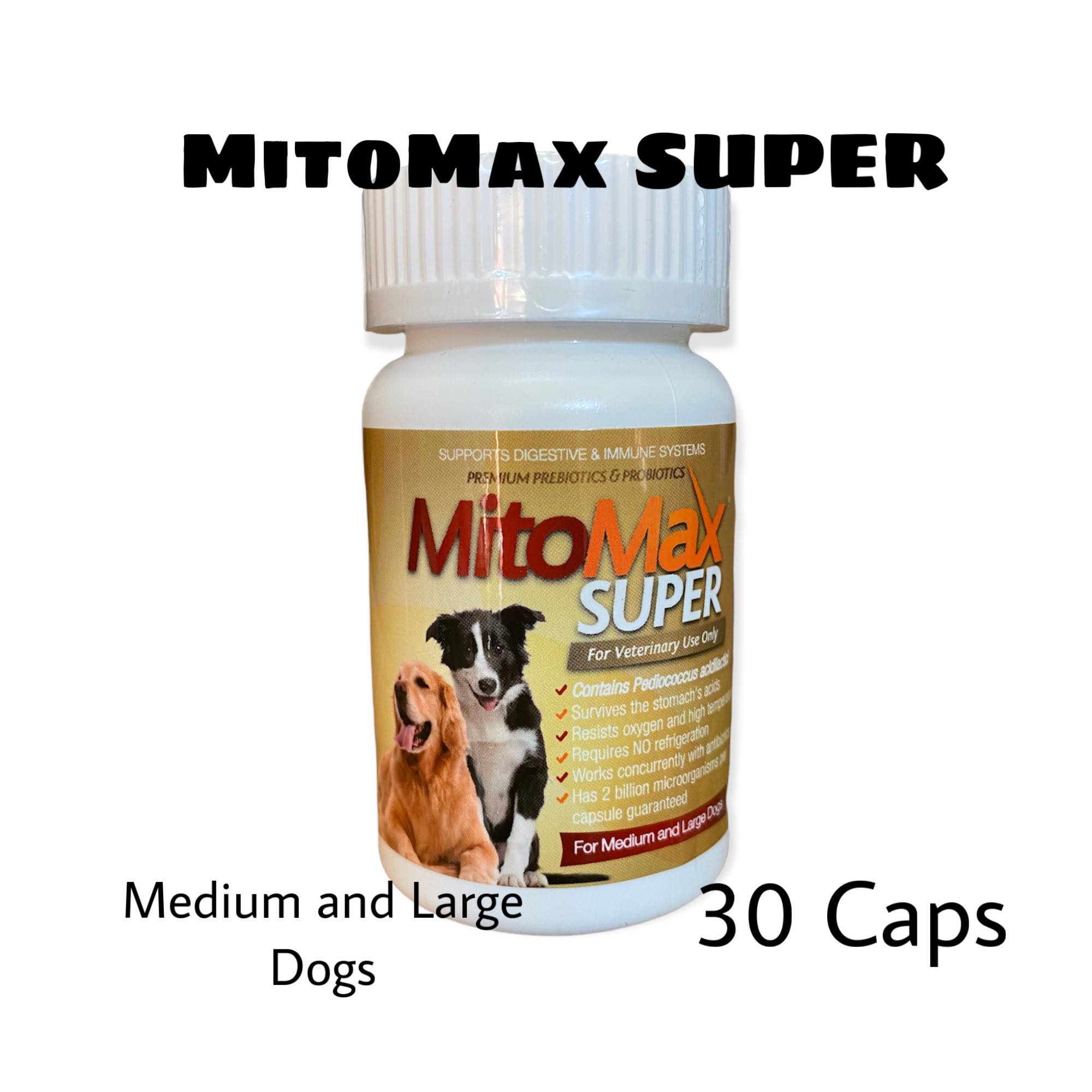 MitoMax SUPER for Medium and Large dog 30 เม็ด | Lazada.co.th