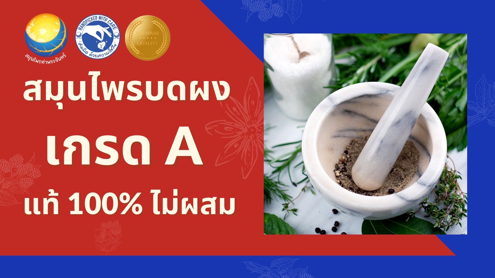 ลูกแปลกแม่ผง ขนาด 125 กรัม อยากลงทุนสุขภาพ นึกถึงสมุนไพรท่าพระจันทร์ ...