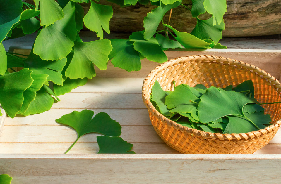 Ginkgo 246 ใบแป๊ะก้วยสกัด 30 แคปซูล 1 กล่อง ช่วยบำรุงสมอง - SARAPADYA ...