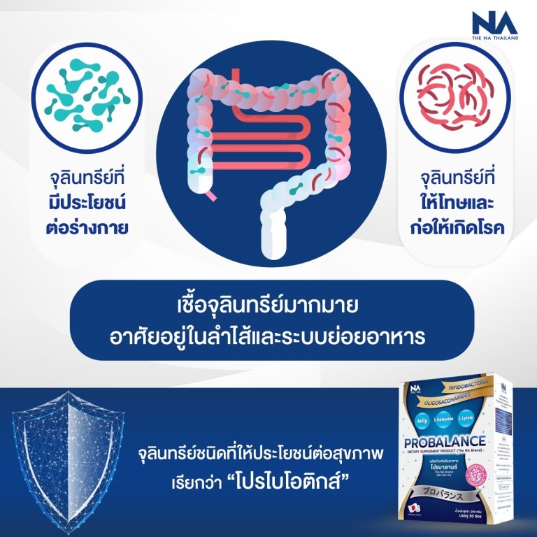 Probalance Probiotics Dietary Supplement Product - 20 Sachets - ช้อปดี ...