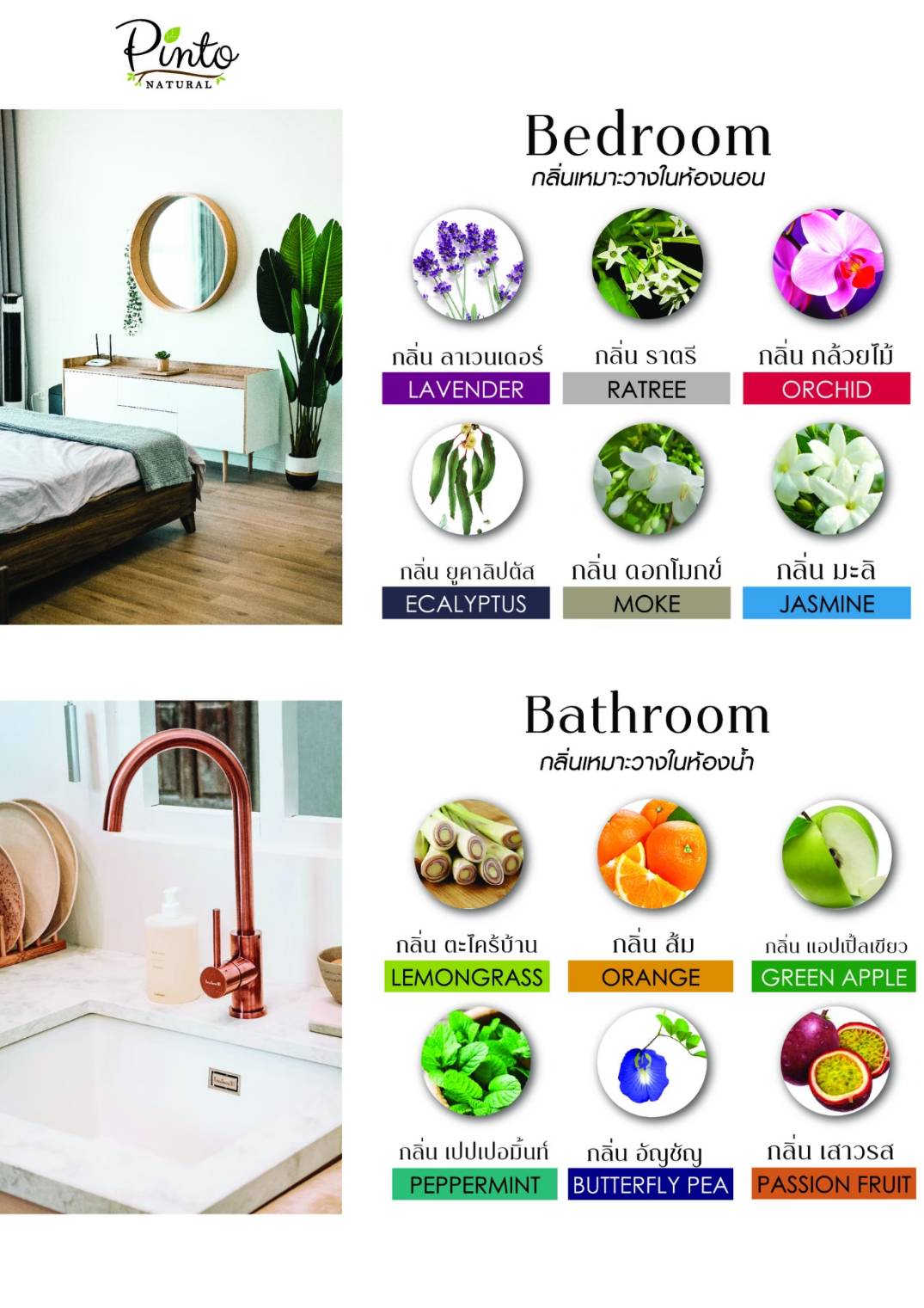 Pinto Natural Aromatic Reed Diffuser ก้านไม้หอมปรับอากาศ กลิ่นดอกโมก ...