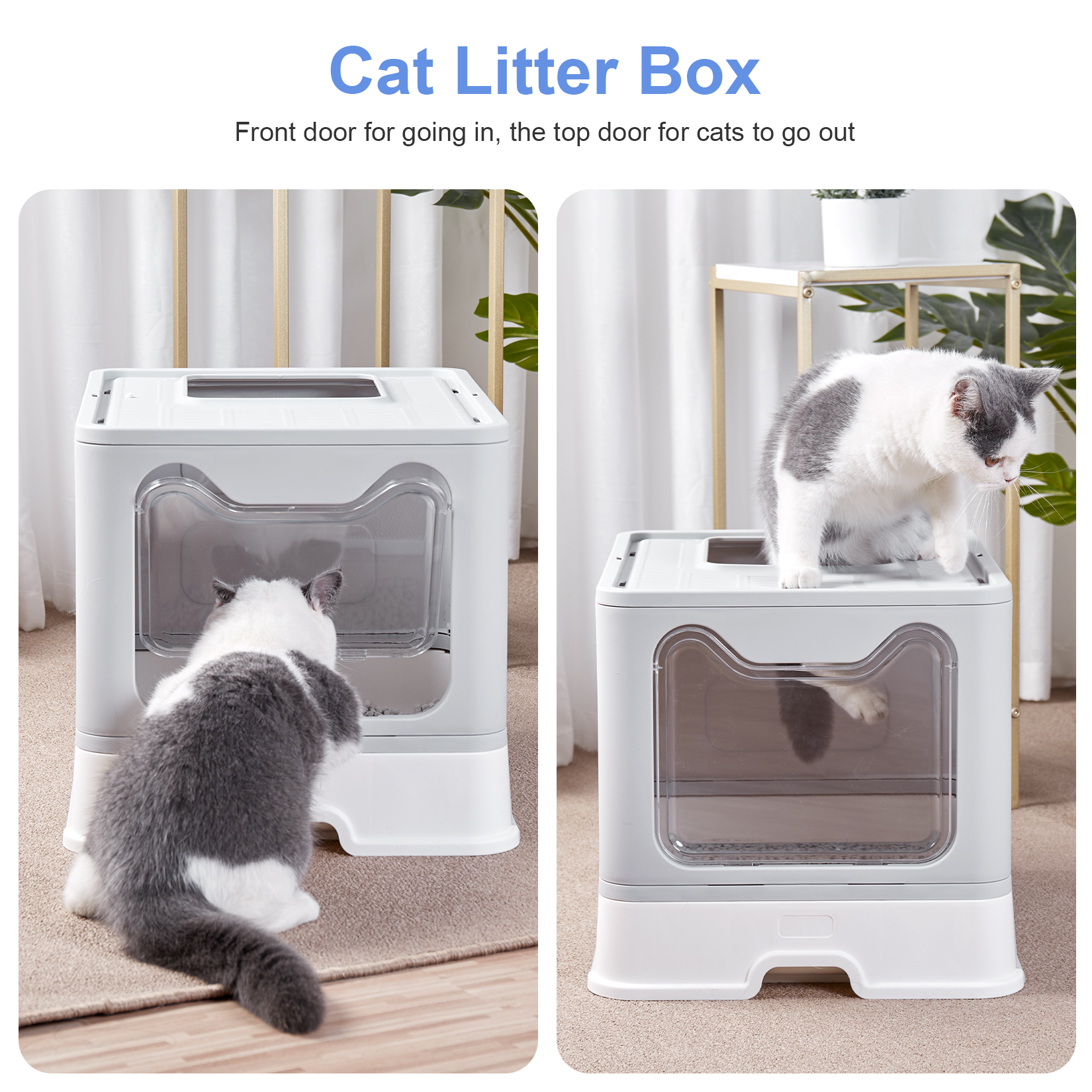 Petheng Small Portable Cat Toilet Litter Box Tray with Scoop , Includes ...