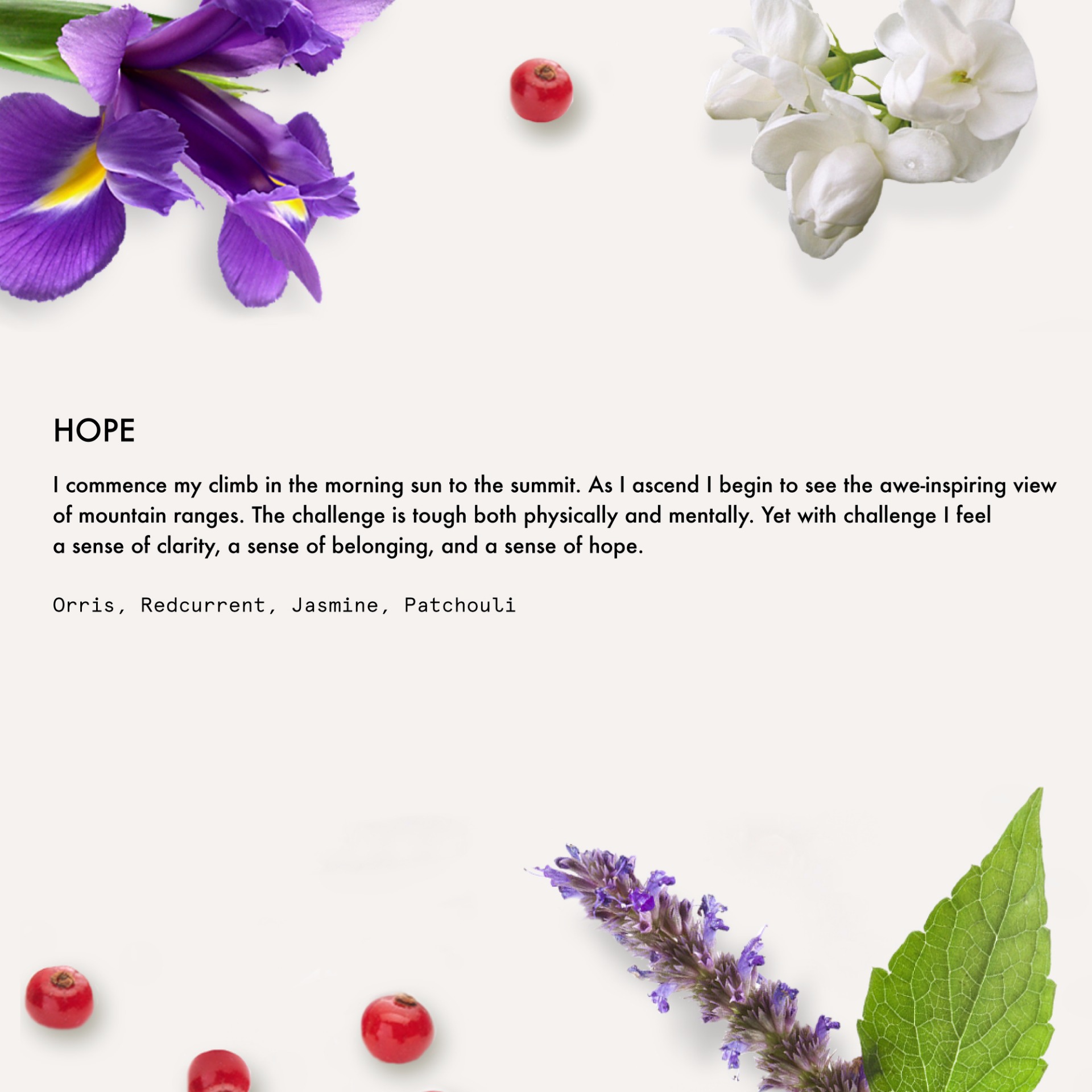 Yugen หินภูเขาไฟอโรมา กลิ่นโฮพ (Yugen - Aromatic Volcanic Stone / Scent ...