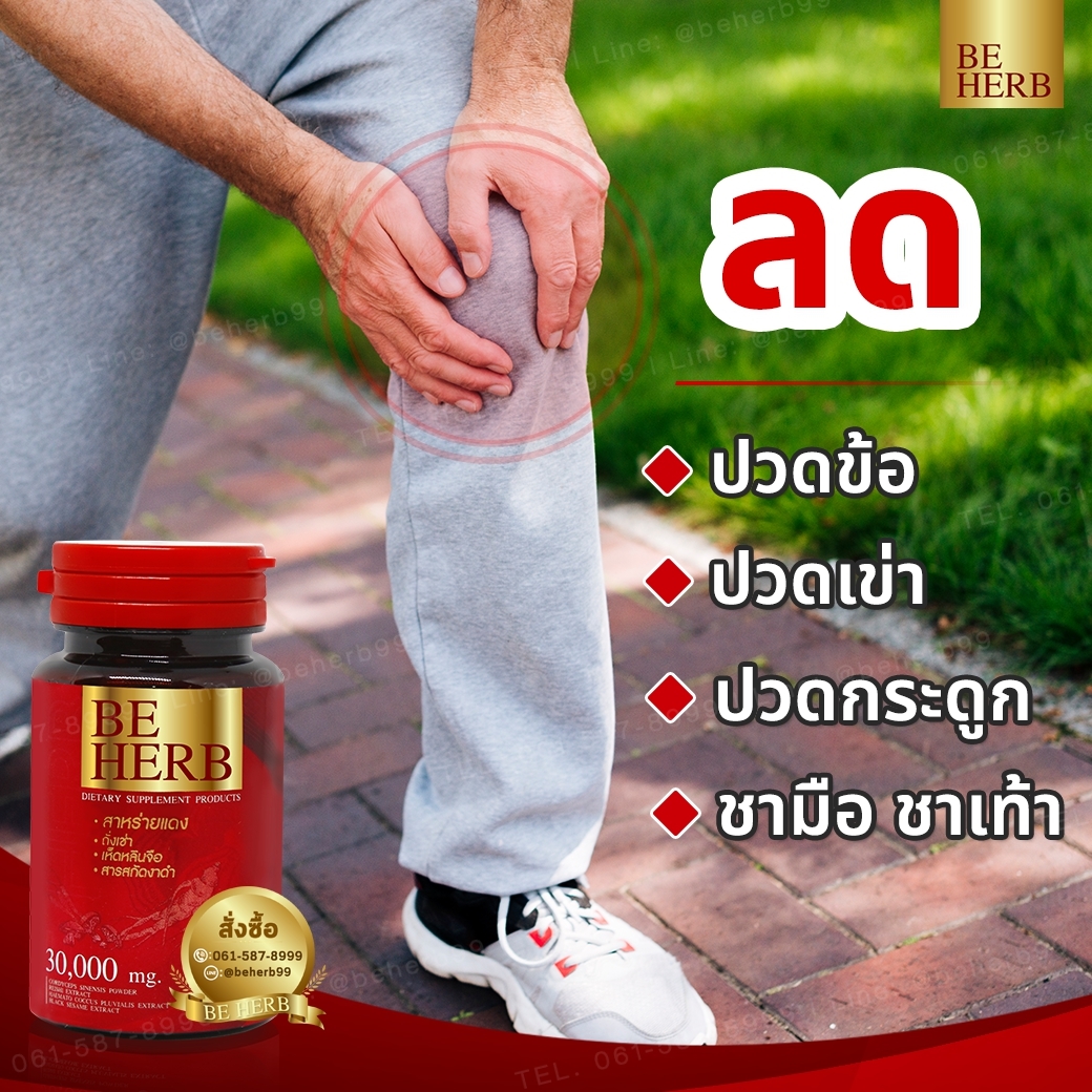 สาหร่ายแดง beherb (บีเฮิร์บ) บำรุงร่างกาย 3กระปุก 90 แคปซูล 990 บาท (จัดส่งฟรีปลายทาง) - 99Shop ...