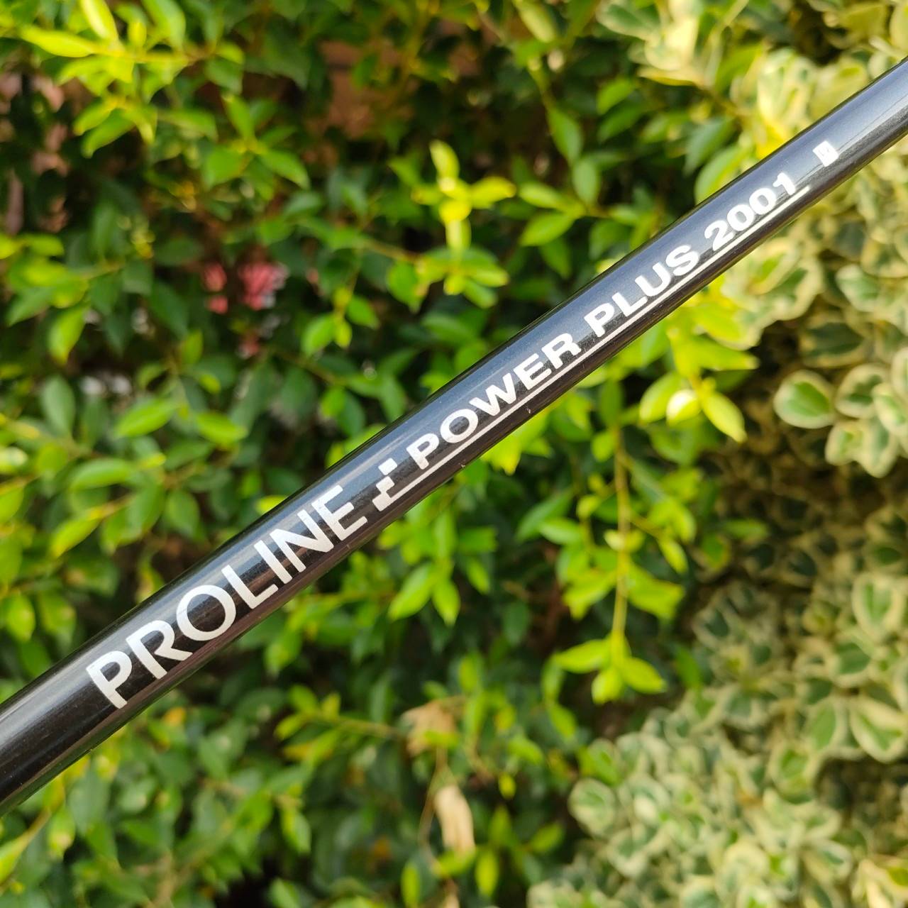 HYBRID 5 PROLINE SUPER METAL องศา 19 ก้าน PROLINE POWER PLUS 2001 มือ ...