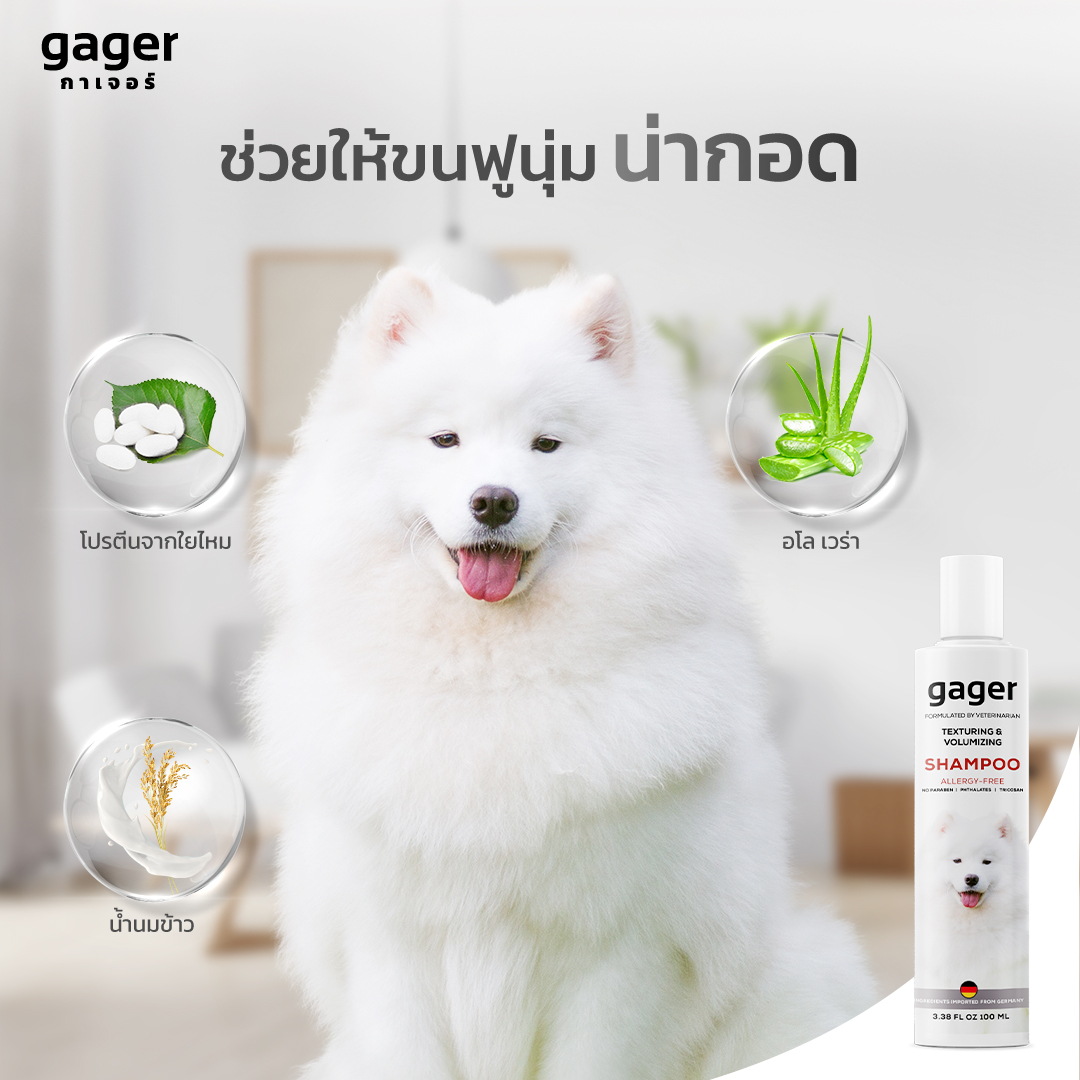 Gager (กาเจอร์) แชมพูขี้เรื้อน สเปรย์นาโนไคโตซานเบต้า กลูแคน เชื้อรา ...