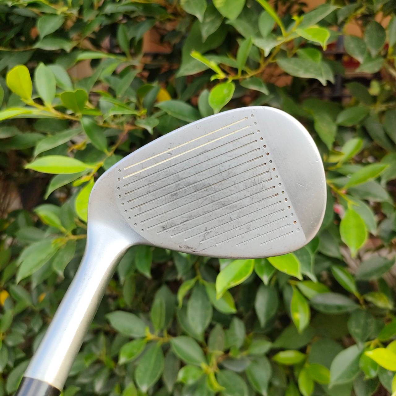 WEDGE F2 SERIES PLUS องศา 52 ก้าน F2 SERIES FLEX WEDGE มือสอง ของแท้ BY ...