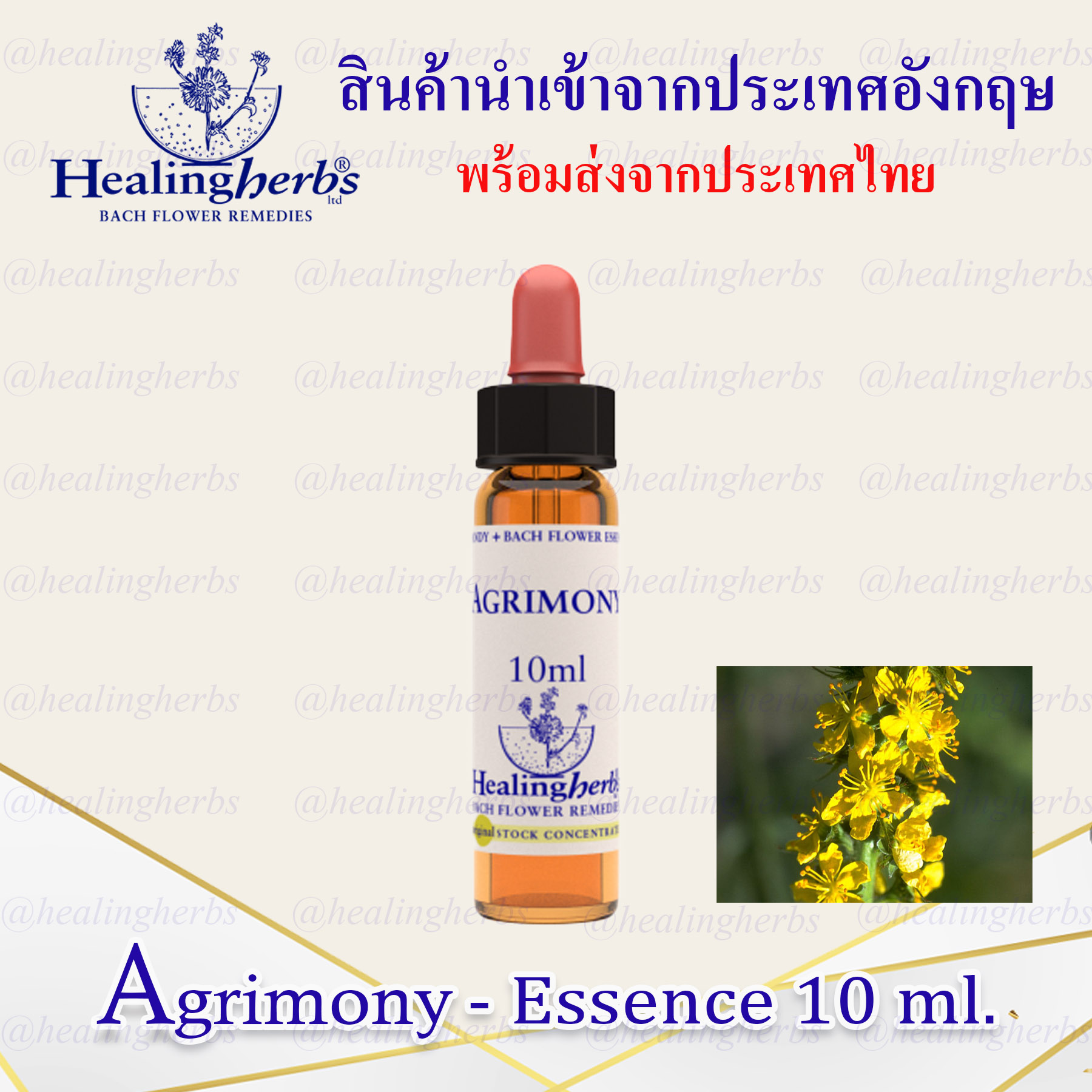 (Agrimony) Bach Flower Essence (droppler) ขนาด 10 ml. หรือ 30 ml. ของ ...