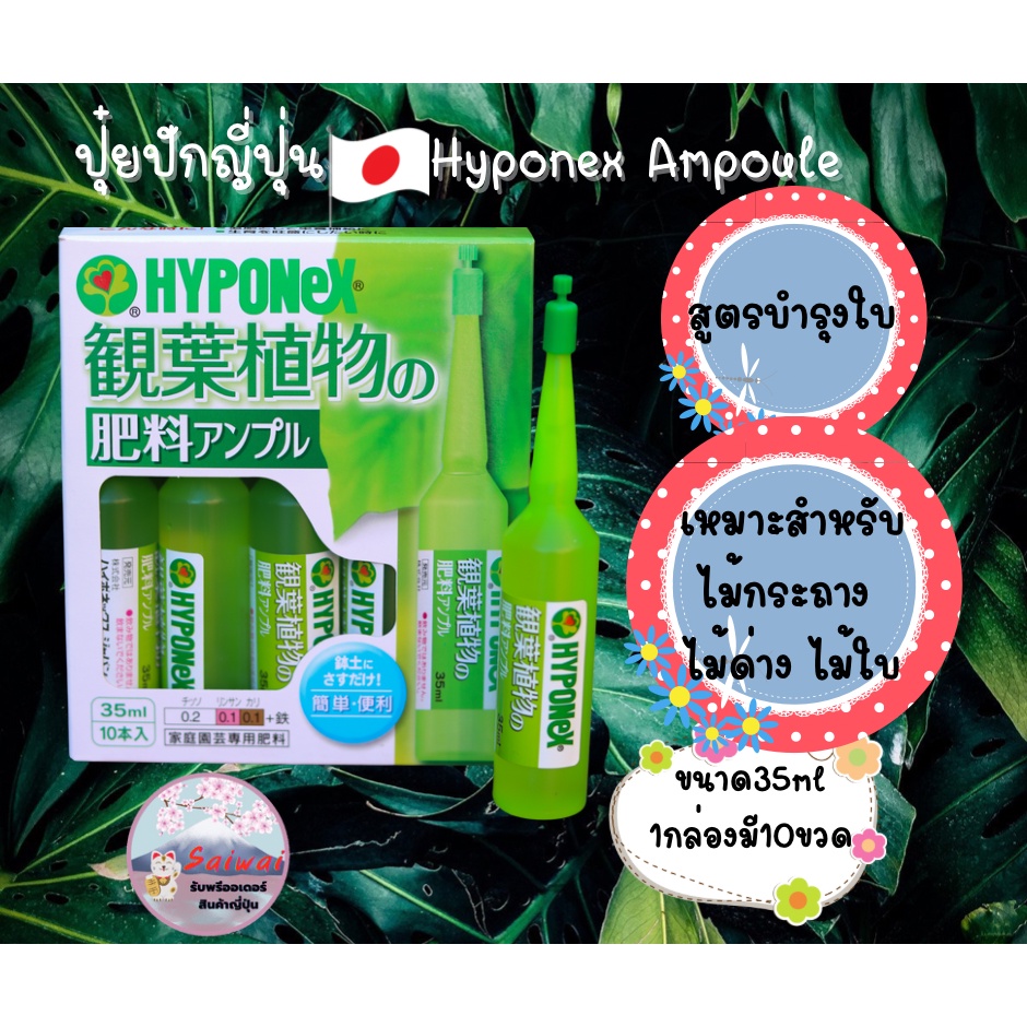 จัดโปร พร้อมส่ง☆Hyponex Ampoule ไฮโปเน็กซ์ แอมเพิล ปุ๋ยปัก ปุ๋ยน้ำญี่ปุ่น บำรุงต้นไม้ สีเหลือง ...