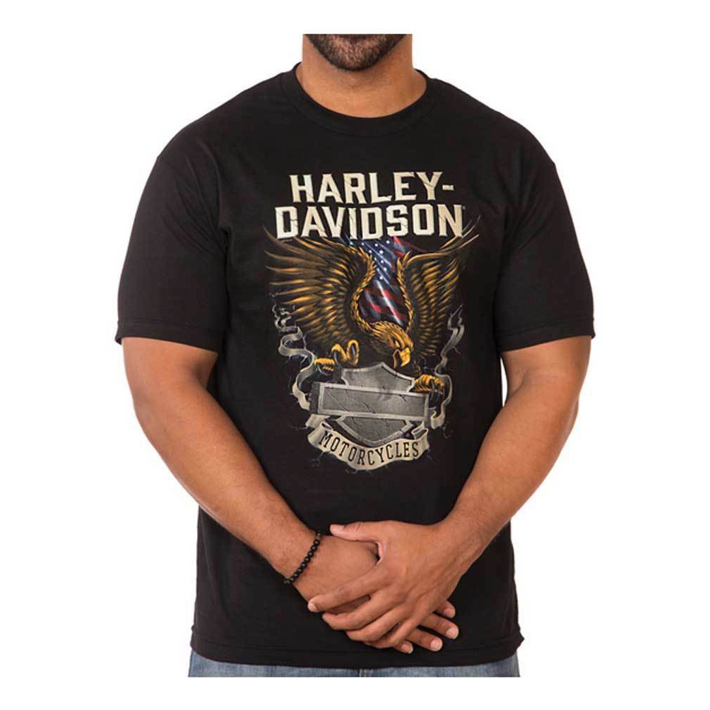 Gildan - Harley-Davidson Men'S Eagle Block B&S Short Sleeve Crew Neck T-Shirt - zcwt - ThaiPick