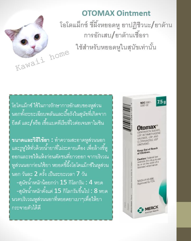 (AQ01) OTOMAX Ointment โอโตแม็กซ์ ขี้ผึ้งหยอดหู ยาปฏิชีวนะ/ยาต้านการอักเสบ/ยาต้านเชื้อรา ใช้ ...