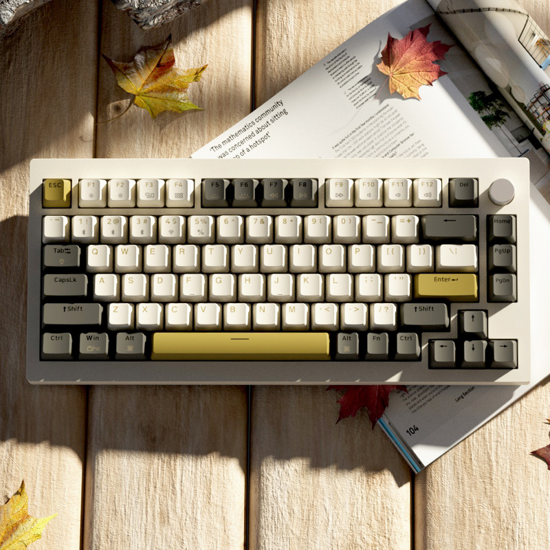 James Donkey A3 Gasket Structure Mechanical Keyboard คีย์บอร์ดไร้สาย ...