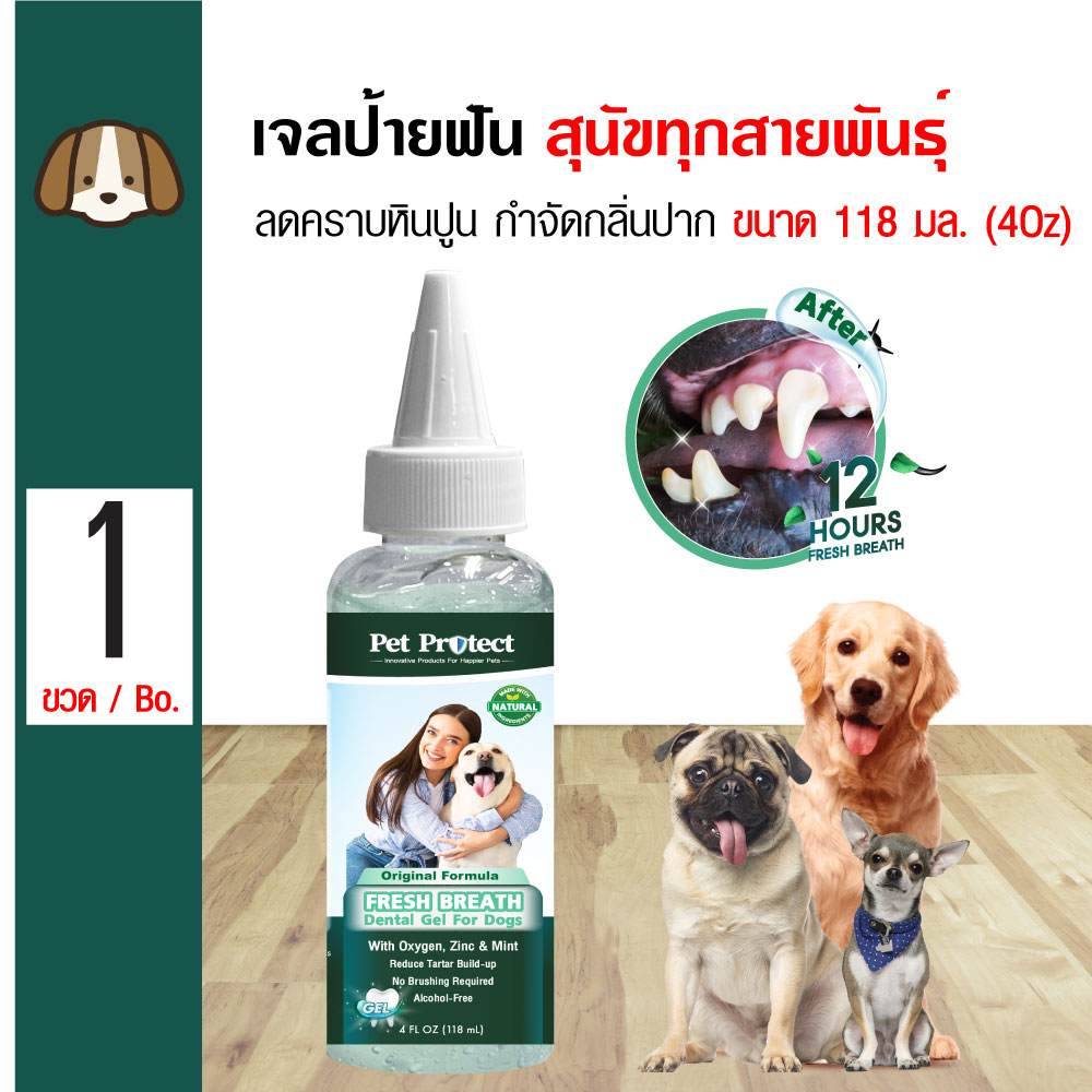 Pet Protect Cat 237 ml. น้ำยาดับกลิ่นปากแมว สูตร Original ใช้ผสมน้ำดื่ม ...
