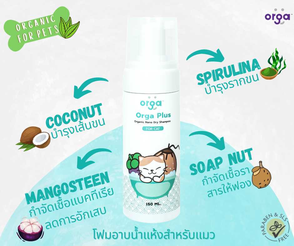 ORGA DRY SHAMPOO FOR CAT โฟมอาบน้ำแห้งสำหรับน้องแมว - Orga 1631264952 - ThaiPick