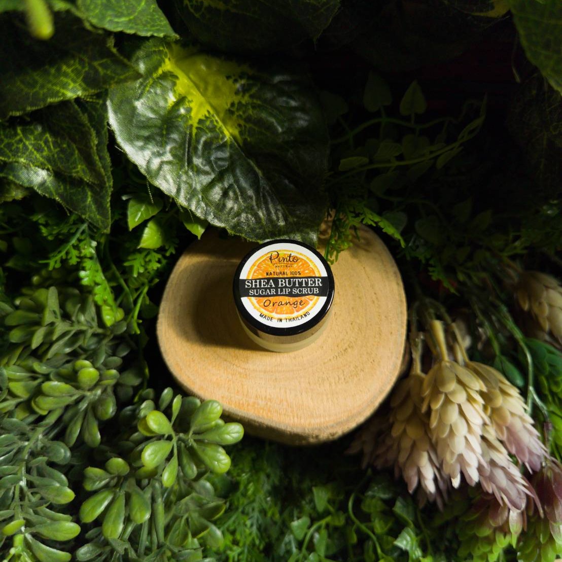 Pinto Natural สครับน้ำตาลผสมเชียร์บัตเตอร์ เพื่อริมฝีปากเนียนนุ่ม ไม่ ...