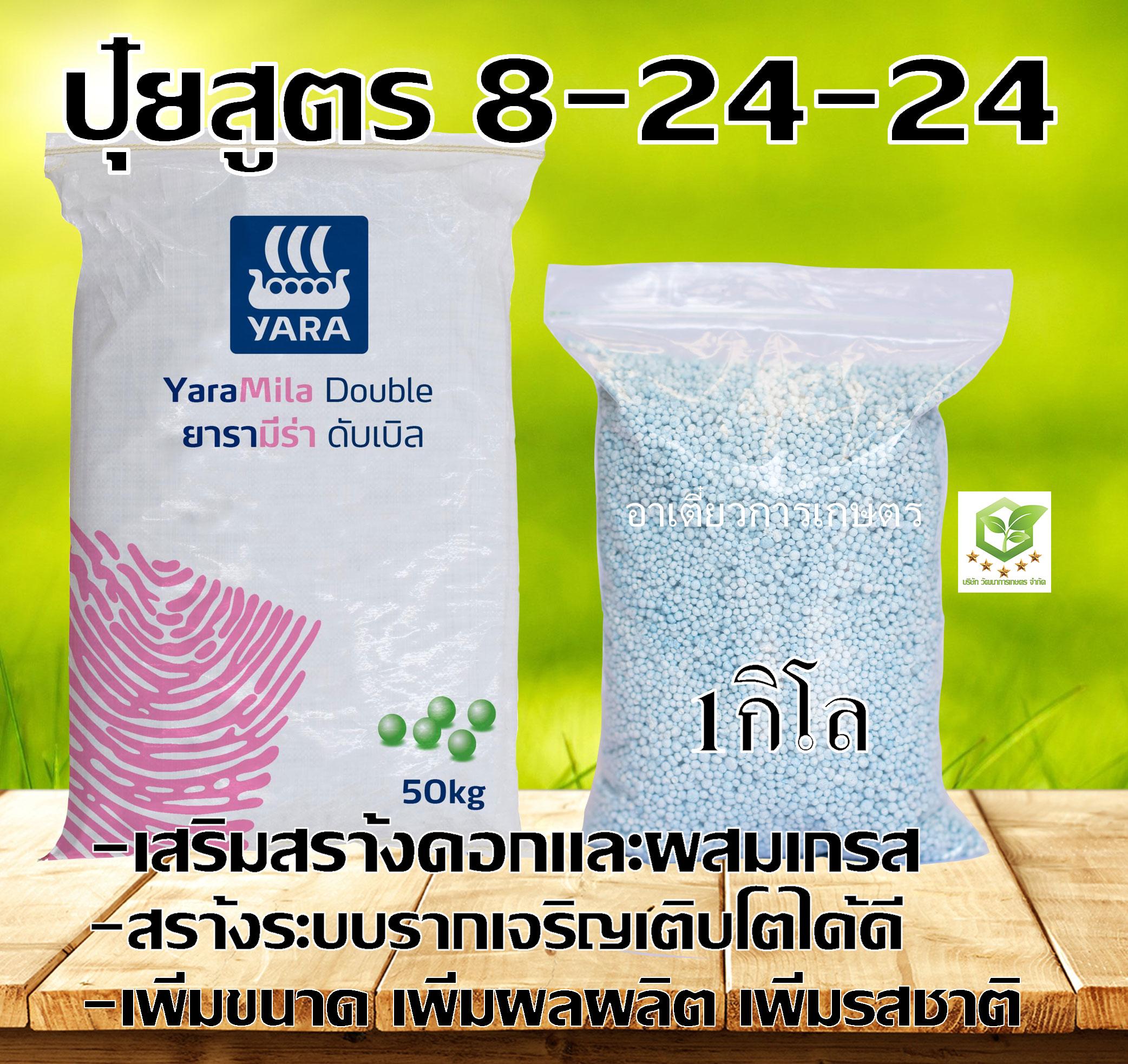 ปุ๋ยสูตร 8-24-24 ตราเรือใบไวกลิ้ง1kg. เสริมสร้างดอก ผสมเกสร สร้างระบบ ...