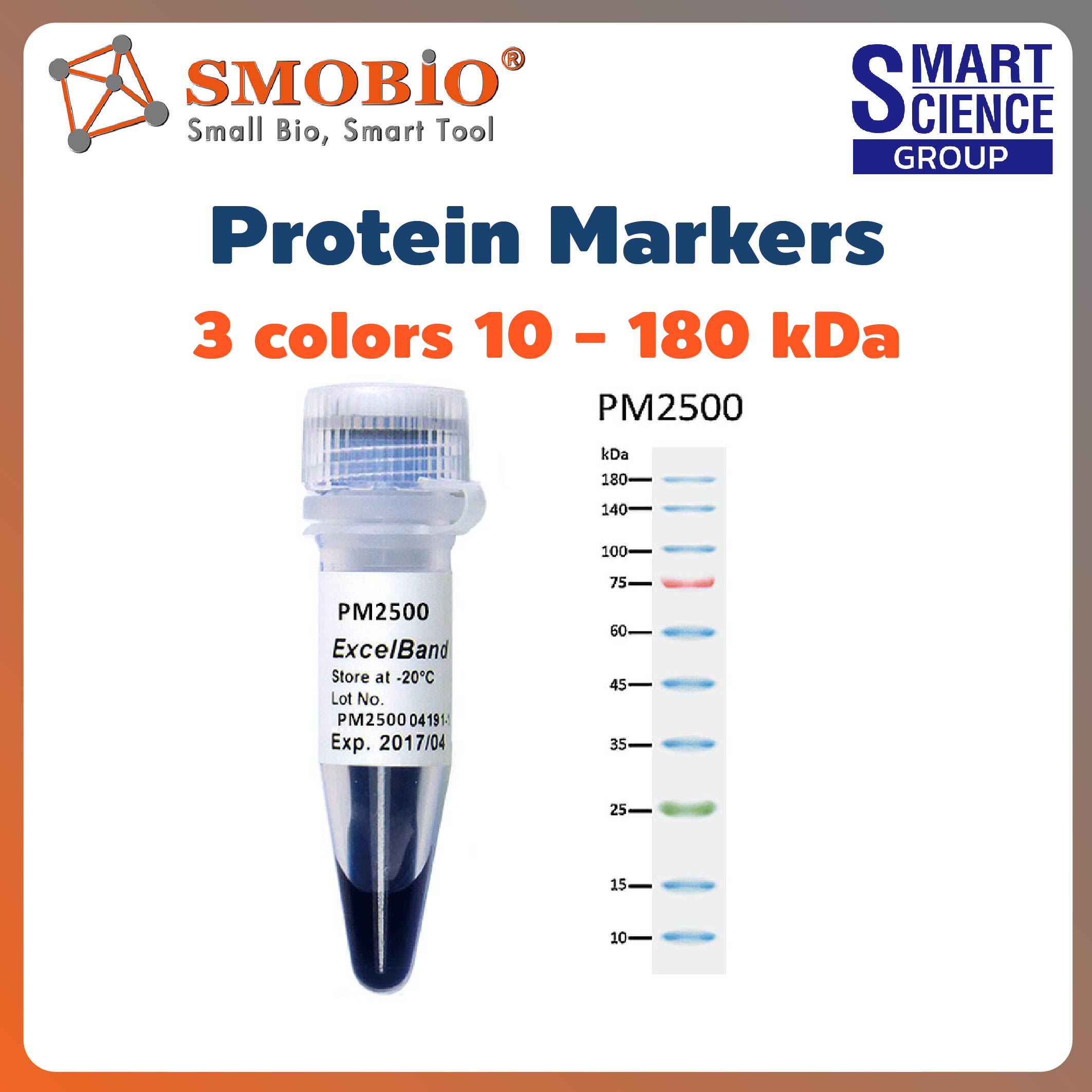 PM2500 ExcelBand Protein Markers SDS-PAGE Western blot 3-color Regular Range 10 - 180 kDa 250 uL ...
