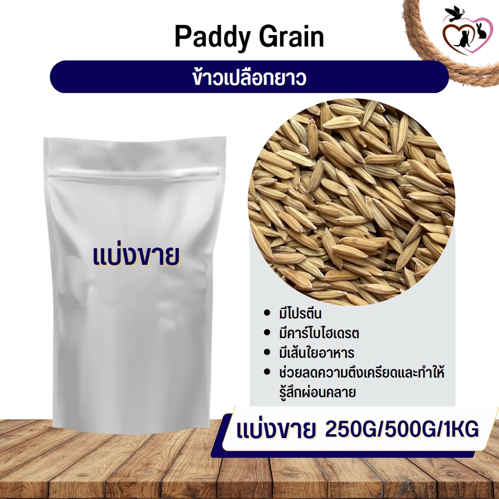 ข้าวเปลือกยาว Paddy rice อาหารนก กระต่าย หนู กระต่าย กระรอก ชูก้า และ ...