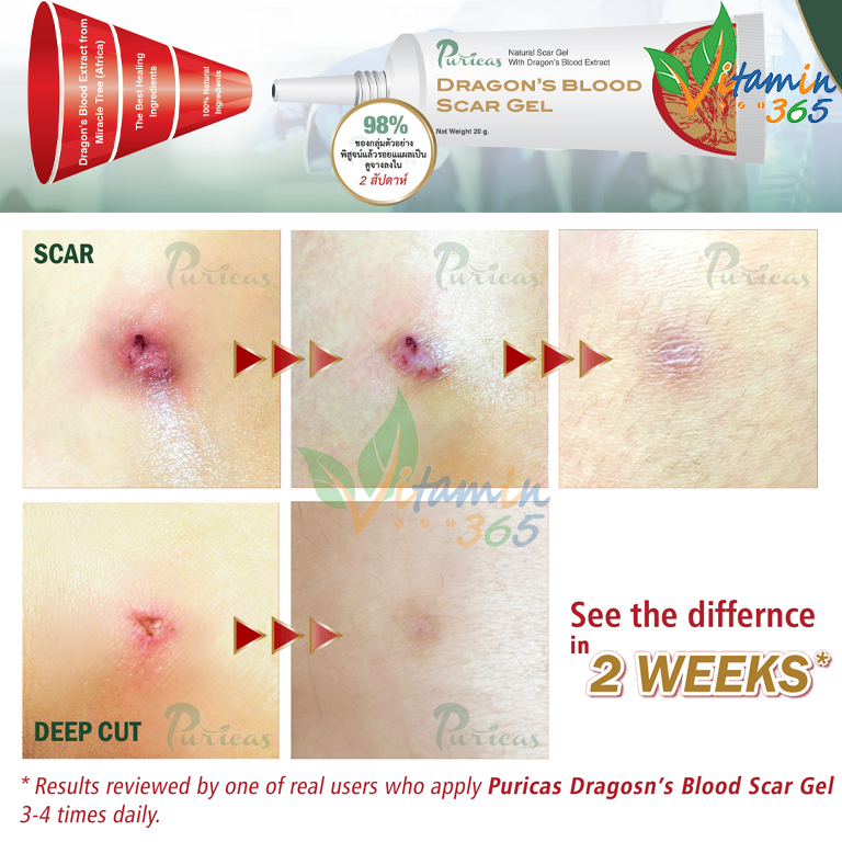 Puricas Dragon Blood Scar Gel 8g เพียวริก้า ดร้ากอนบลัด เจลลดรอยแผลเป็น ...