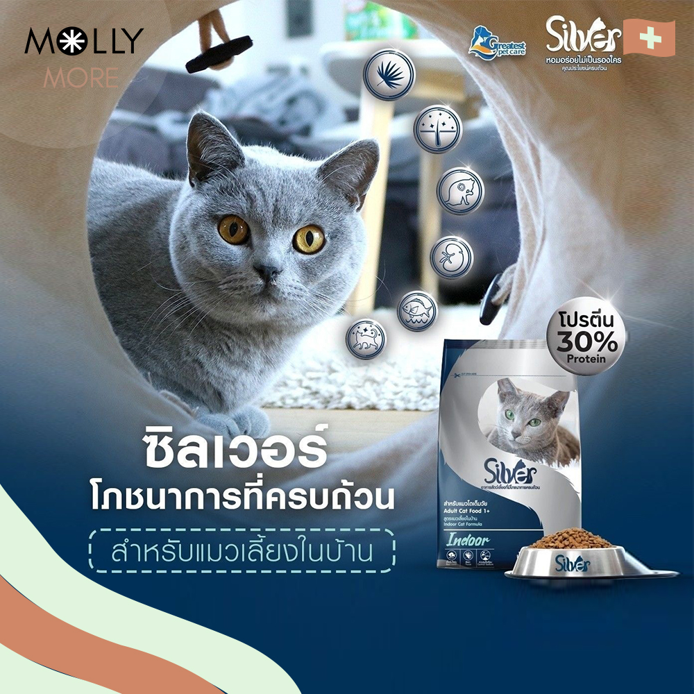 MOLLY Silver ซิลเวอร์ อาหารแมว ชนิดเม็ด เกรดพรีเมี่ยม โซเดียมต่ำ ขนสวย ...