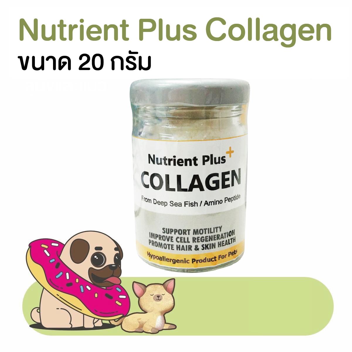 Nutrient Plus Collagen อาหารเสริม สุนัขและแมว คอลลาเจน 20g โดย Yes pet shop | Lazada.co.th