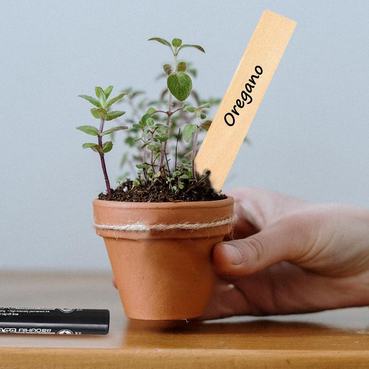 50pcs Garden Labels for Plant Pot Reusable Wooden Floral Sign Tags ...