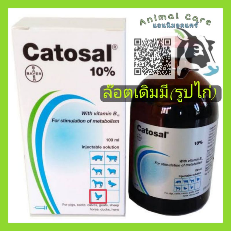 ข้อเสนอสุดพิเศษ ส่งทันที CATOSAL 10 100 mlคาโตซาล 10 100 มล.(ยาบำรุง ...