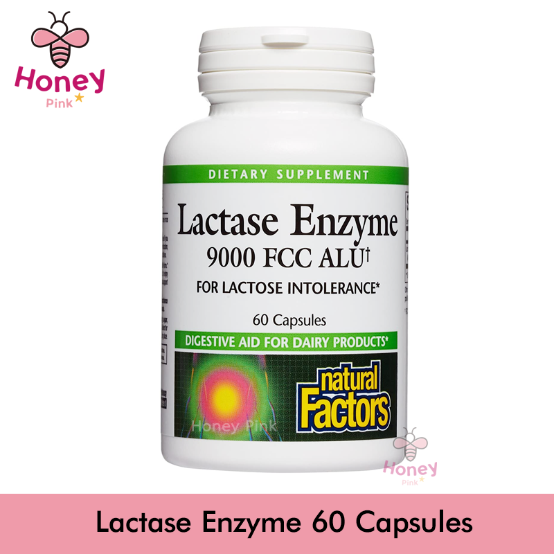 Natural Factors, Lactase Enzyme, 9,000 FCC ALU, 60 Capsules | Lazada.co.th